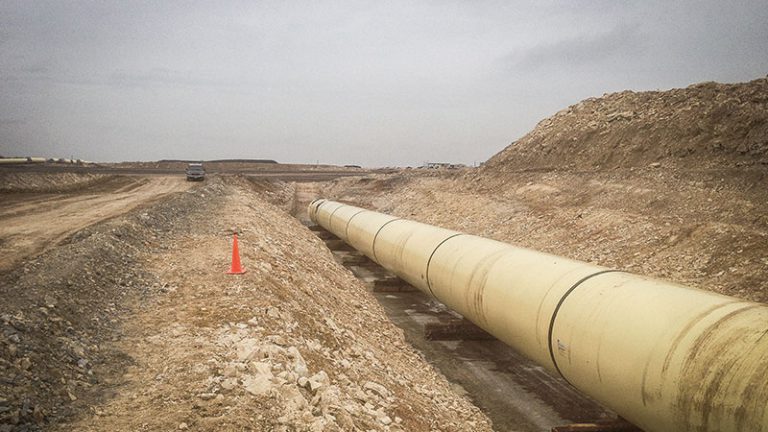 Firm Profile - CAS Consulting & Services, Inc.