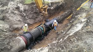 Firm Profile - CAS Consulting & Services, Inc.