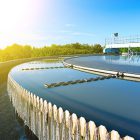 Home - CAS Consulting & Services, Inc.